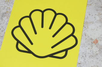 Shell Suncatcher Craft - Crafts on Sea