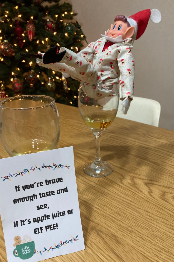 Funny Drunk Elf On The Shelf Ideas
