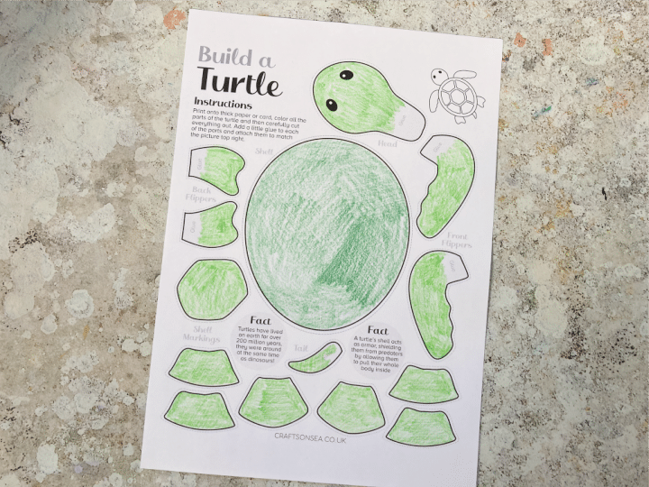 Build A Turtle Craft (FREE Printable) - Crafts on Sea