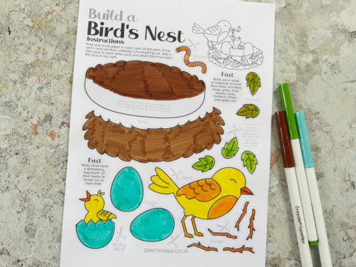 Printable Cut and Paste Birds Nest Craft (FREE PDF) - Crafts on Sea