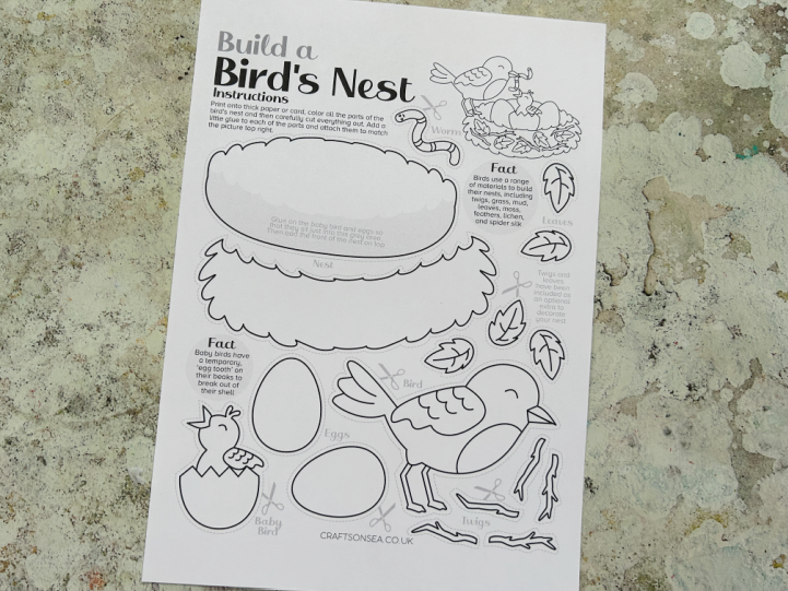 Printable Cut and Paste Birds Nest Craft (FREE PDF) - Crafts on Sea